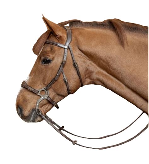 Bridon Hackamore By Hfi