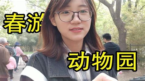 大龄女青年独自逛动物园寻开心【北漂日记之动物园篇】 Youtube