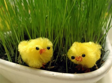 Bara Det Ljuvligaste Påsk Blommor