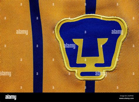 Pumas Unam Logo Campeon