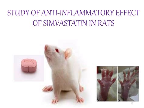 Simvastatin Anti Inflammatory Effect Pptx
