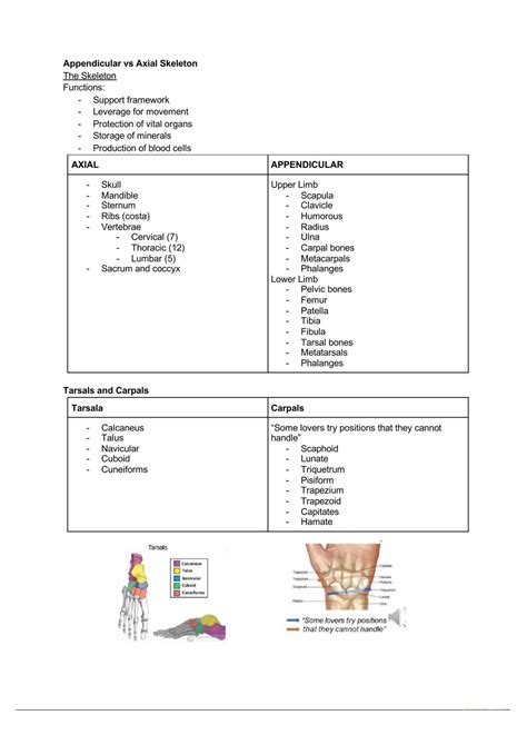 Anatomy Notes Hs2300 Systemic Approach To Functional Human Gross