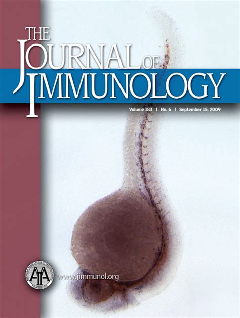 B Cell Receptor And Baff Receptor Signaling Regulation Of B Cell