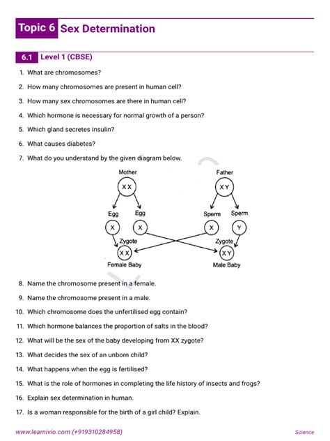 Aocl1730020329755 Assignment Pdf Sex Chromosome