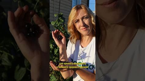 Первая и очень важная подкормка смородины весной Не пропустите