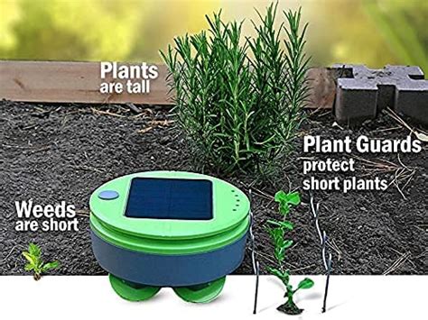 Weeding Robot Robots For Home