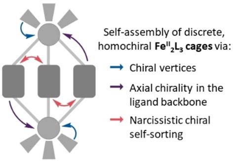 Chirality‐driven Self‐assembly Of Discrete Homochiral Feii2l3 Cages Sun 2023 Chemistry