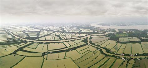 Aerial View Of Rice Paddy Fields In … License Image 14418959 Lookphotos