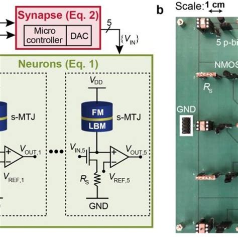 Probabilistic Learning Circuit A Block Diagram Of The Learning