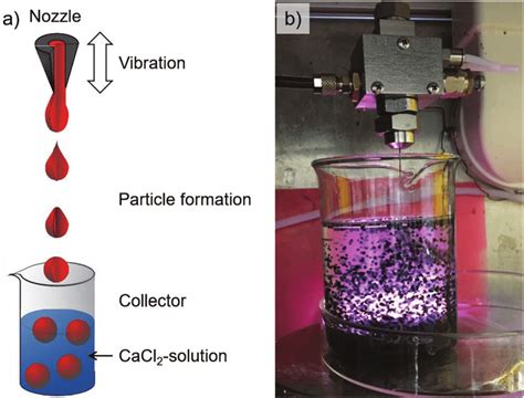 A Schematic Illustration Of The Formation Process Of The Composite Download Scientific Diagram