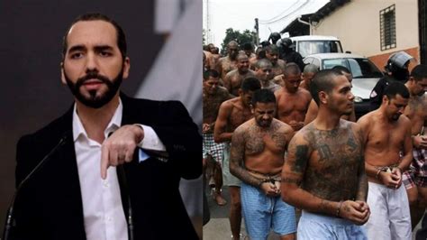 El Salvador Cierra 2023 Con Histórica Reducción De Homicidios 608