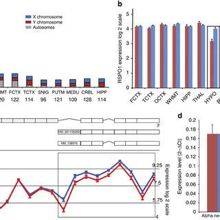 Sex Biased Gene Expression Is Widespread A Bar Chart Showing The Download Scientific Diagram