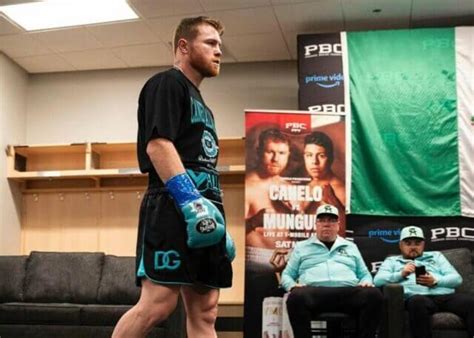 Ibf Orders Canelo To Box William Scull Boxing News