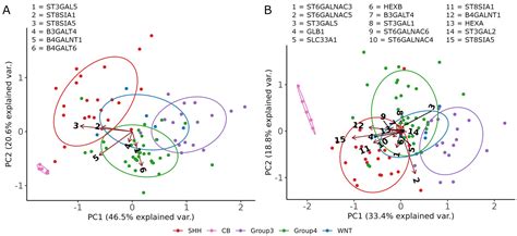 Gd2 Expression In Medulloblastoma And Neuroblastoma For Personalized