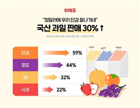 킹달러 여파 국산 과일 ‘인기 위메프 국산 과일 판매↑