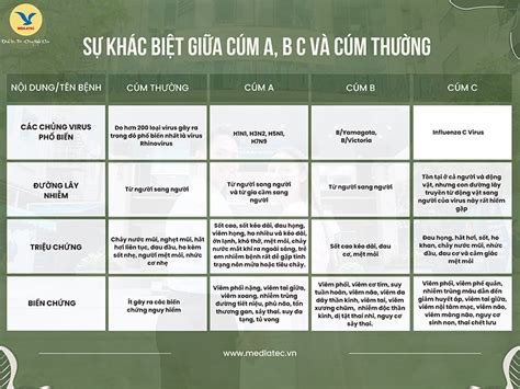 Tất Tần Tật Thông Tin Về Bệnh Cúm A B C Cách Phân Biệt Với Cảm Cúm