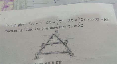 In The Given Figure OX 1 2XY PX 1 2 XZ AND OX PX THEN YSING EUCLID AXIOMS SHOW THAT XY XZ