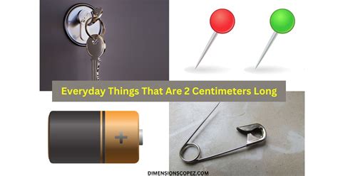 10 Common Things That Are 15 Centimeters Long