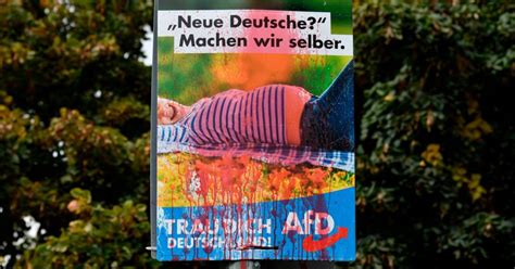 German Afd Party Raises Concerns About Nazi Ideology Of The Past Ex