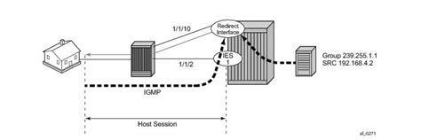 Esm Ipv4 Multicast With Redirection