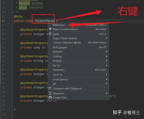 Java的pojo对象转json串的idea工具 知乎