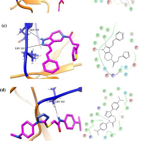 Docked Poses Of Top 5 Synthetic Compounds The N And C Terminal Lobe