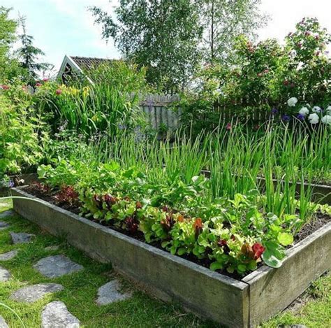 Pin By Sherrie Caltagirone On Gardening Glories Urban Garden