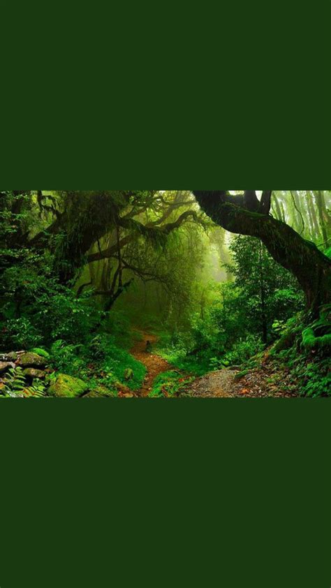 Verde Vida Naturaleza Fotos Paisaje De Fantasía Hermosos Paisajes