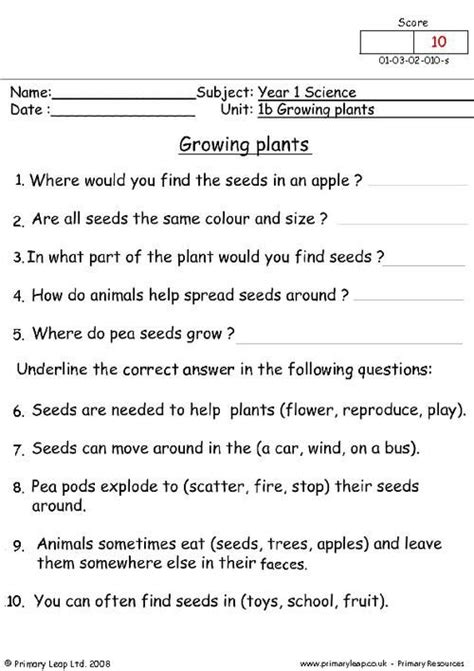 Investigating Plant Growth Grade 5 Worksheets