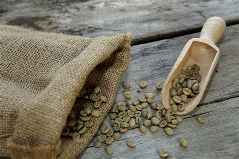 Grüner Kaffee Test Vergleich +++ Grüner Kaffee günstig kaufen!