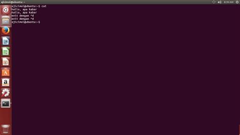 Laporan Modul 3 Praktikum So Operasi Input Output Pada Linux Go