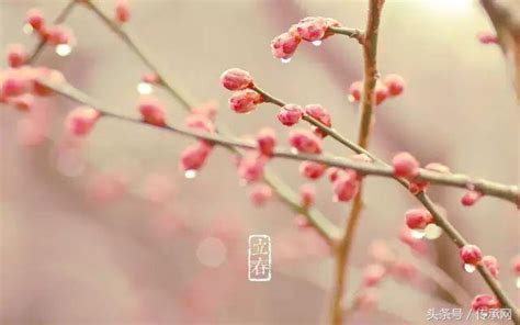時節養生一年之計在於春立春養生方 每日頭條