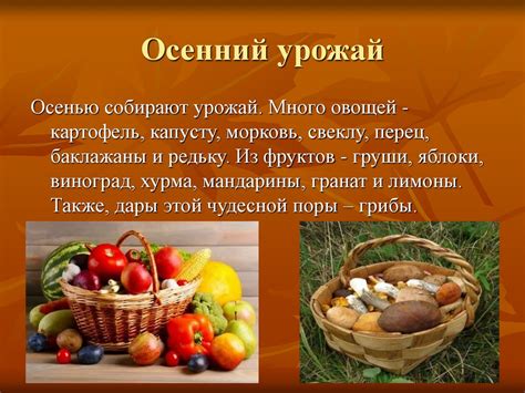 Осень презентация онлайн