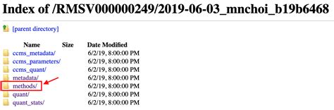 Download Files Massive Documentation