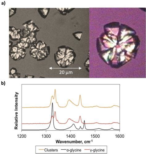 离子表面活性剂对甘氨酸多晶型结晶的影响israel Journal Of Chemistry X Mol