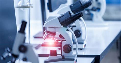 Nerve Biopsy Diagnosing Neurological Condition