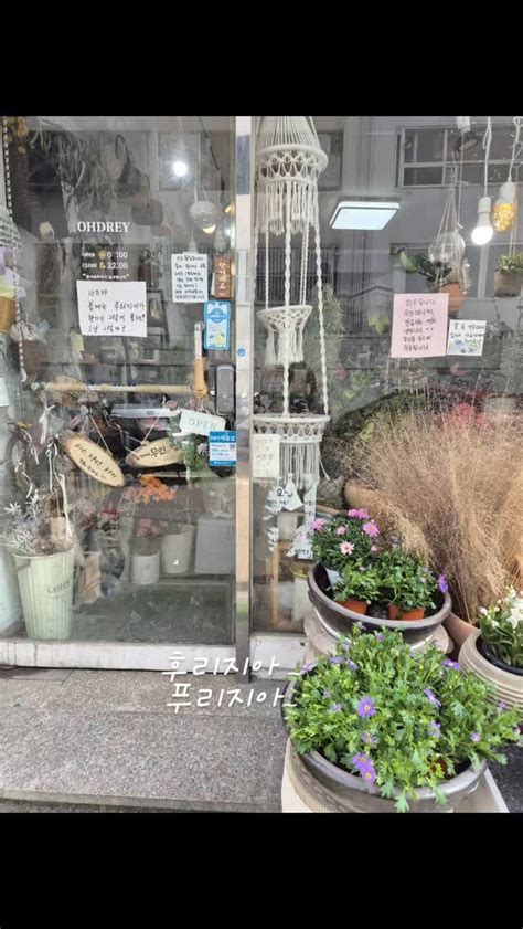오드리 문턱높은 꽃집 꽃사는거 쉬워요 문열고 후리지아 얼마예요 봄꽃 후리지아 오드리플라워공방 은행동꽃집 신천동꽃집