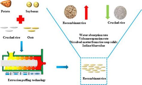 挤压膨化碎米基再造米的制备及其理化和结构特性acs Physical Chemistry Au X Mol