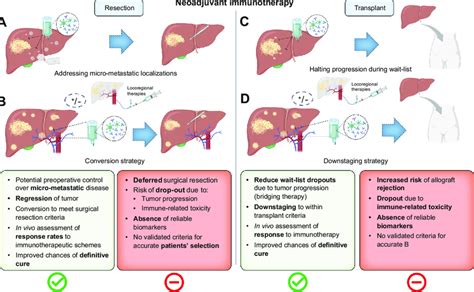 Rationale For Implementing Neoadjuvant Immunotherapy Regimens Before