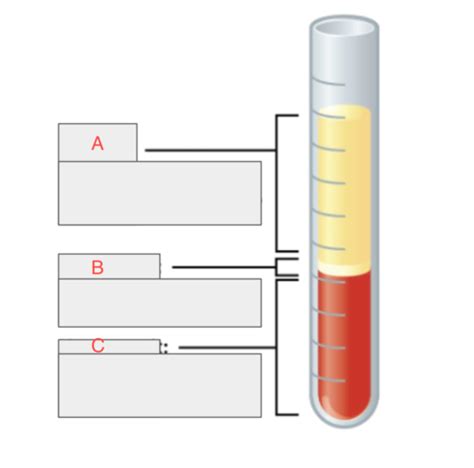 Blood Lab Flashcards Quizlet