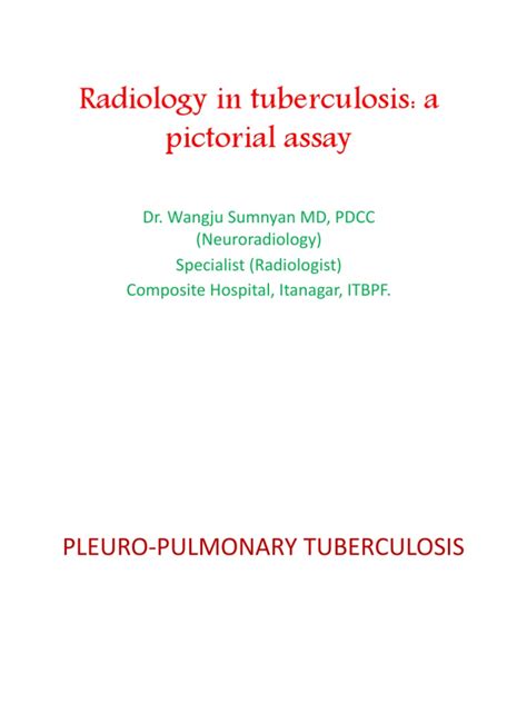 Pdf Radiology In Tuberculosis Dokumentips