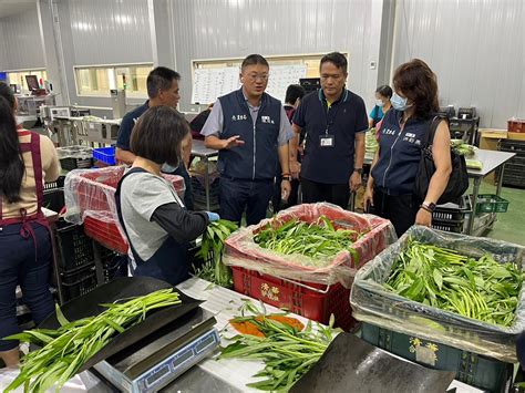 中颱小犬掀狂風暴雨 桃園農業局關心蔬菜產銷班出貨情況