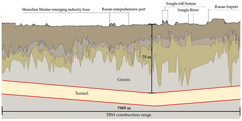 Diagram Of Stratigraphic Distribution Download Scientific Diagram
