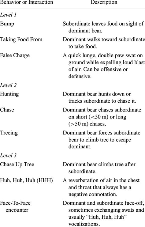 ethogram of agonistic interactions among black bears dominance