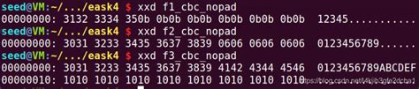 Secret Key Encryption Lab网安实验 Csdn博客