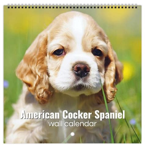 Cocker Spaniel Calendar Etsy