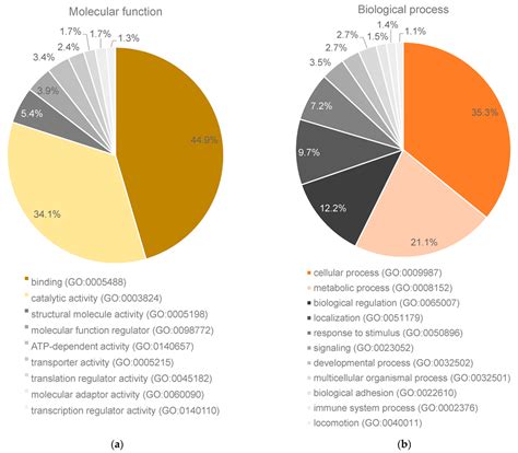 Ijms Free Full Text Proteomics Reveals Mrna Regulation And The