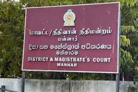 மன்னார் இரட்டை படுகொலை 20 பேரை விளக்கமறியல் வைக்க உத்தரவு ஐபிசி தமிழ்