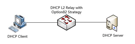 Omada Switch Dhcp Relay Configuration Guide Omada Network Support