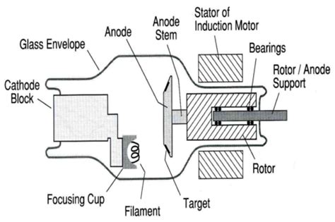 Chapter 5 The X Ray Tube Flashcards Quizlet